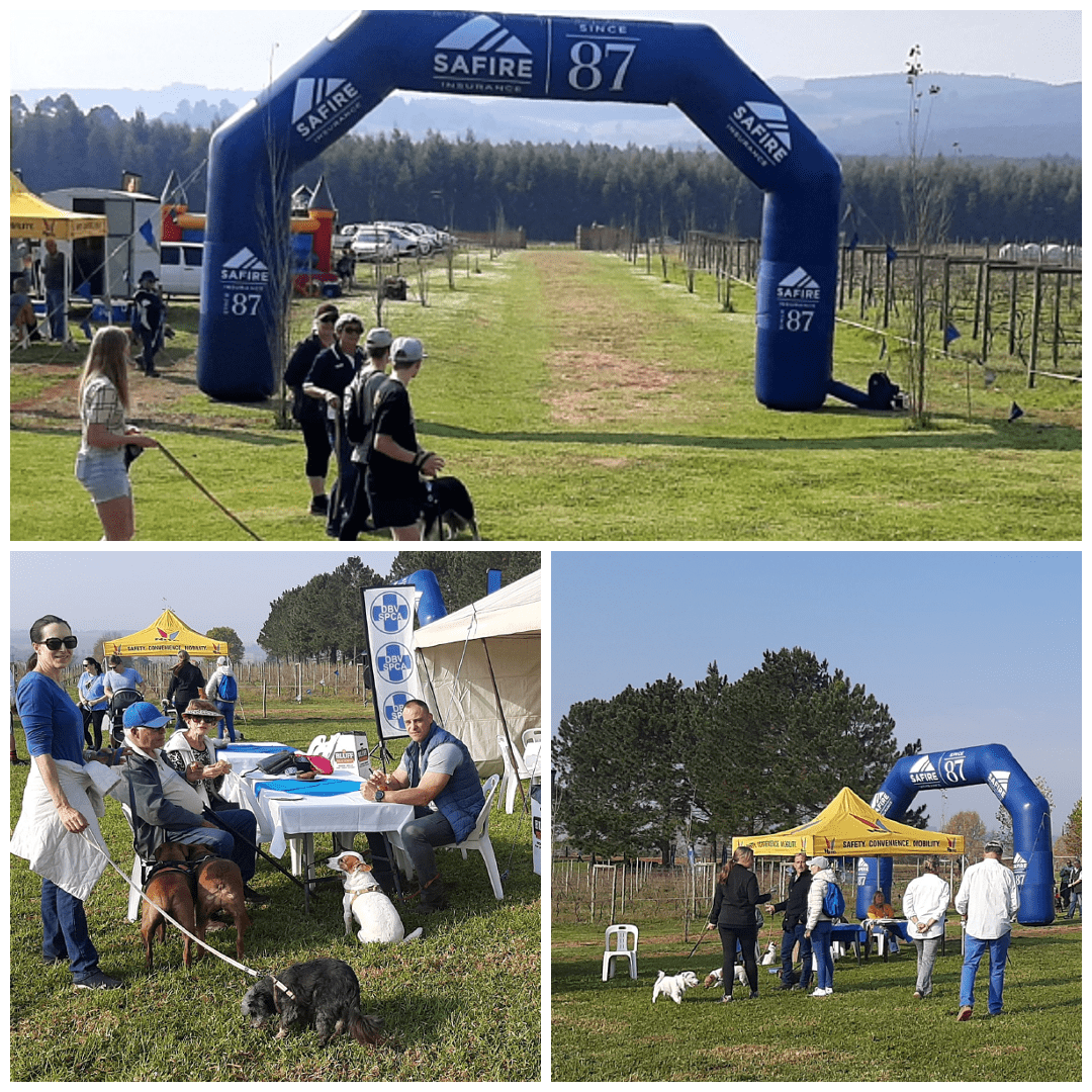 JULY/AUGUST/SEPTEMBER newsletter - Cathedral Peak Hotel